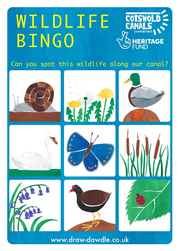Go wild with wildlife bingo | Stroud Times