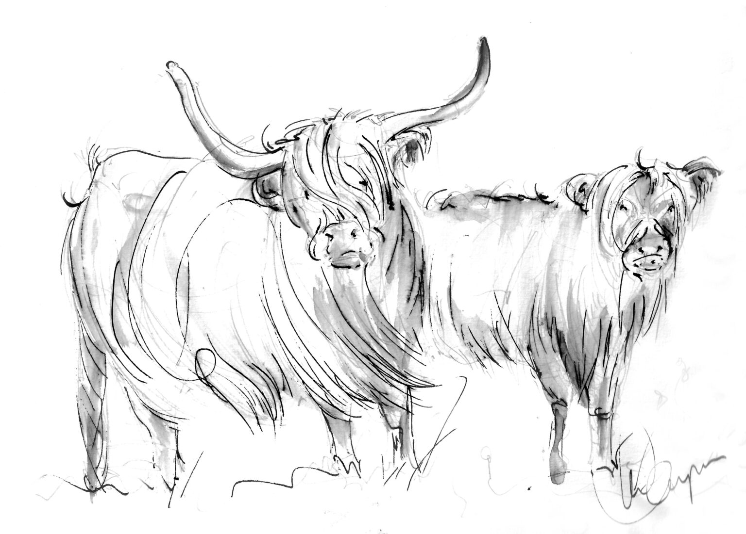 The art of cows | Stroud Times