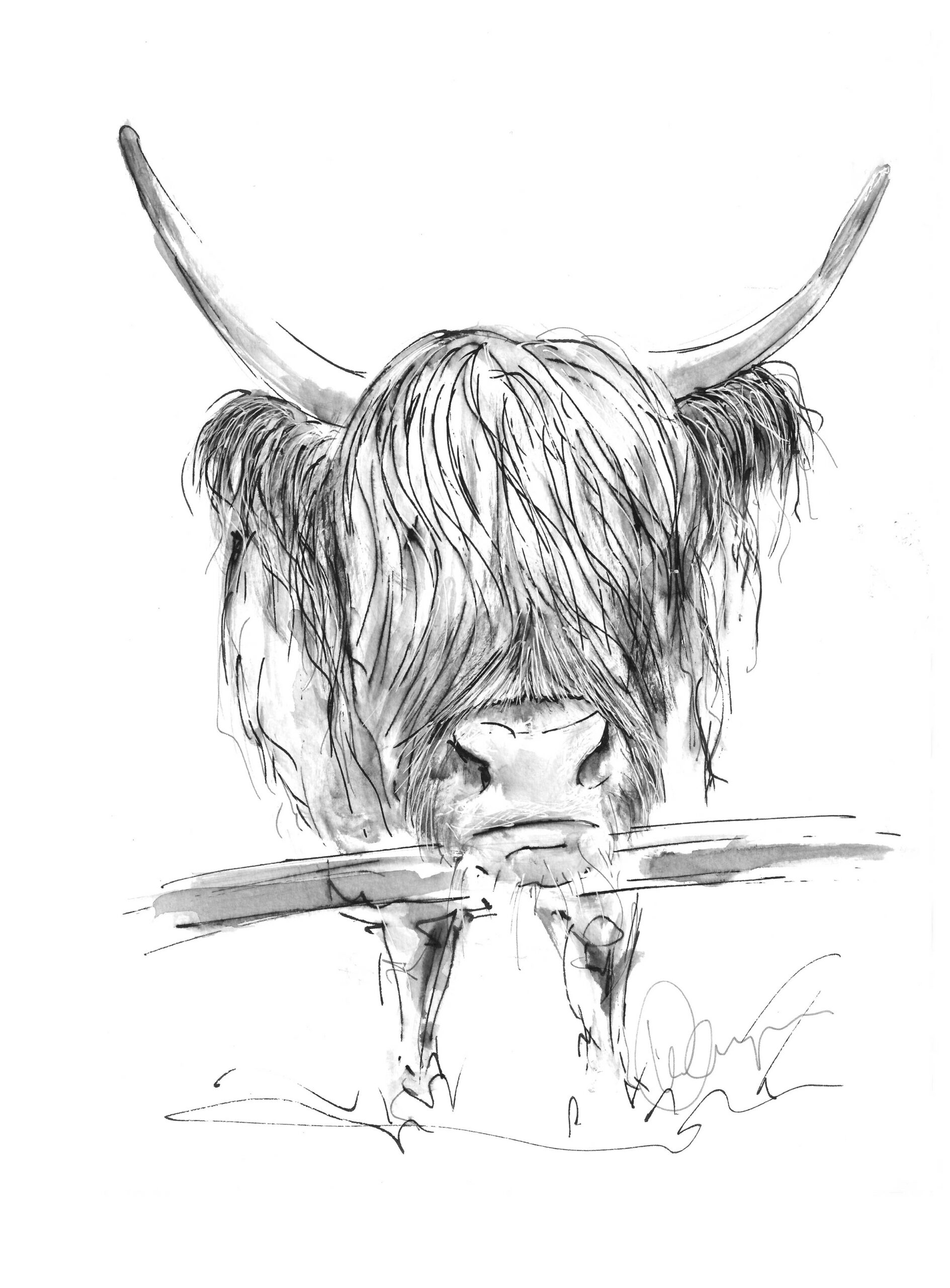 The art of cows | Stroud Times