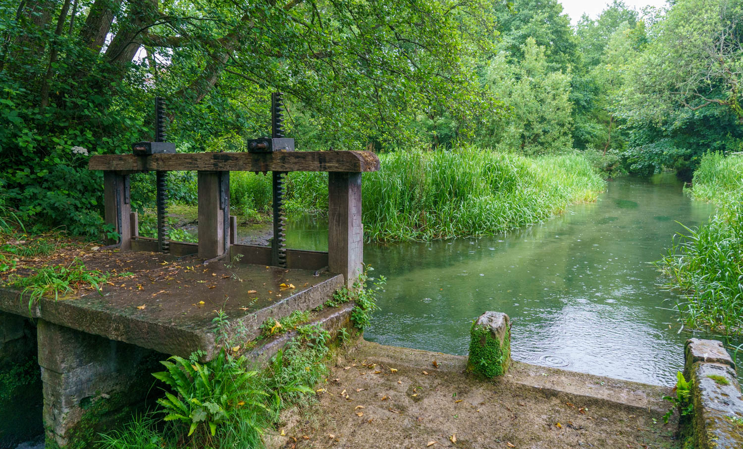Work transforms historic millpond and water flows once more | Stroud Times