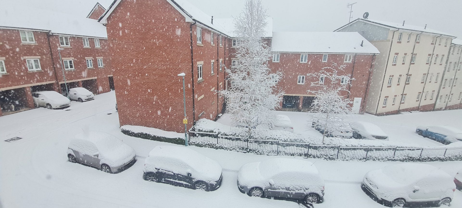 Your snow pictures | Stroud Times