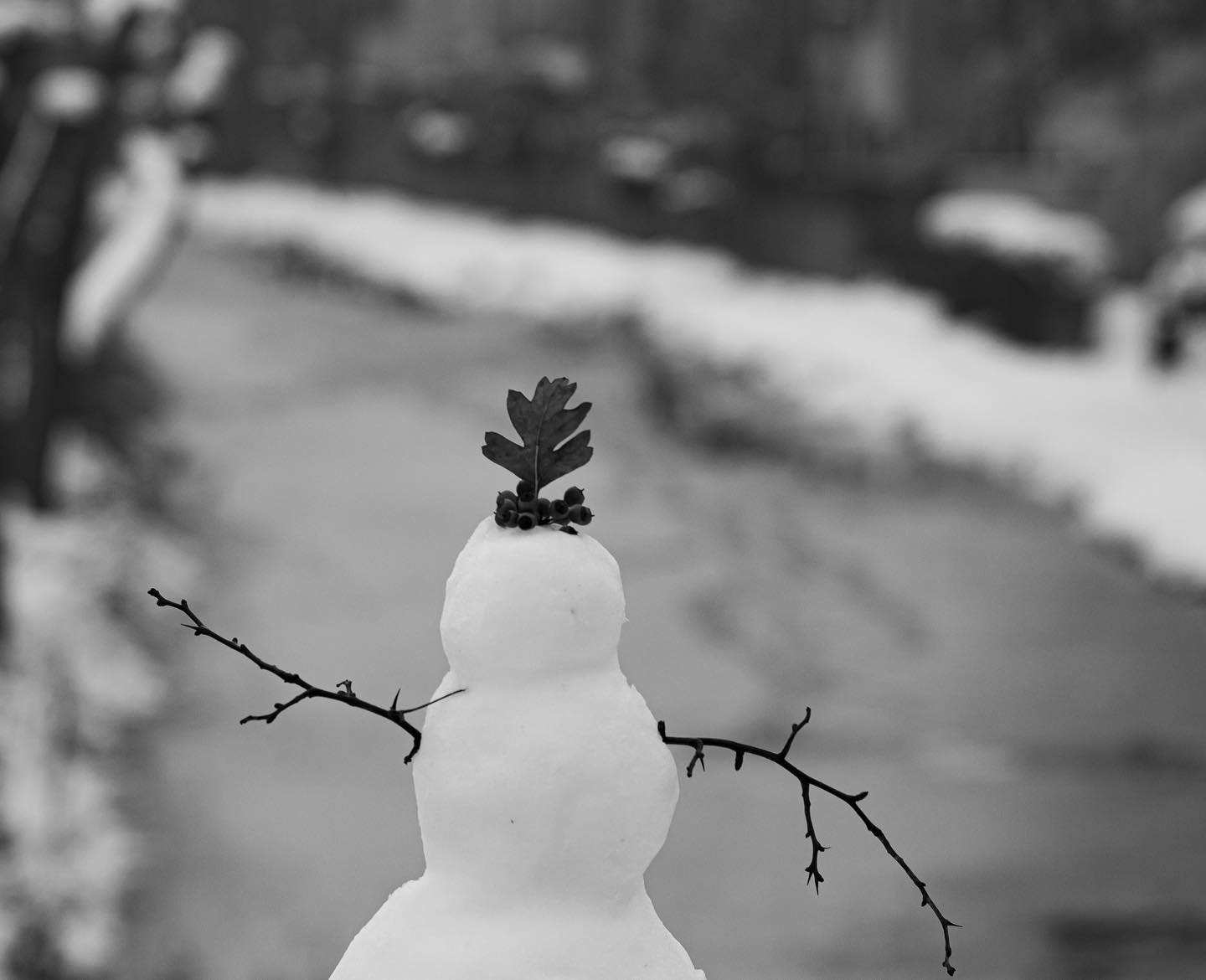 In pictures: Rockin' Robin and Frosty the Snowman | Stroud Times