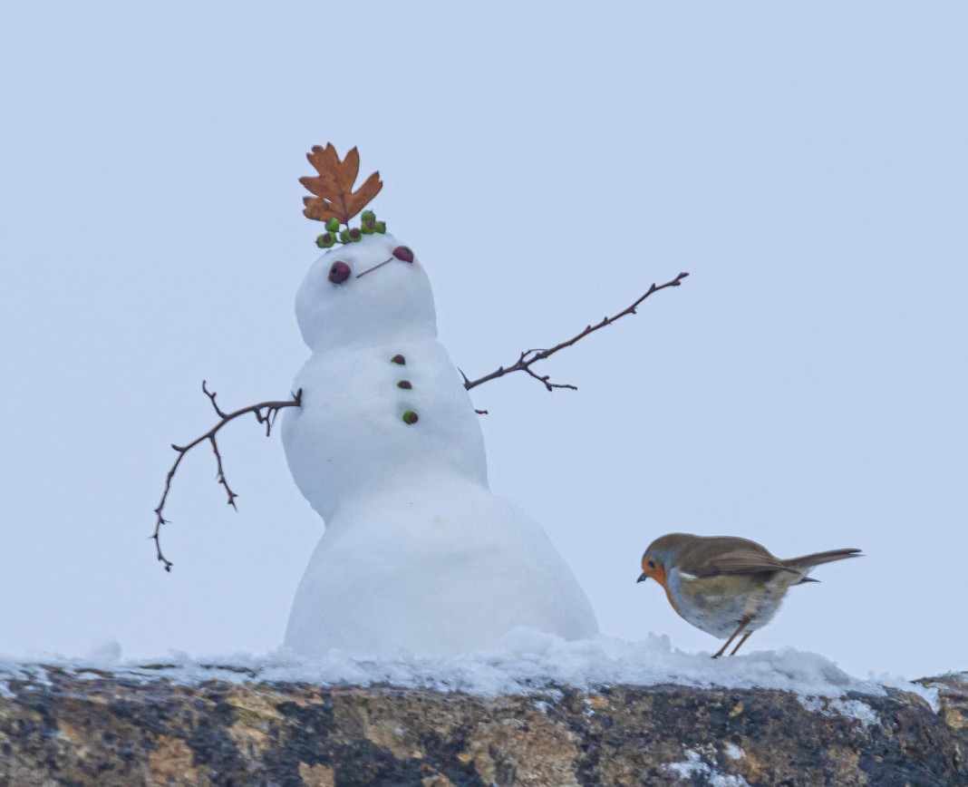 In pictures: Rockin' Robin and Frosty the Snowman | Stroud Times