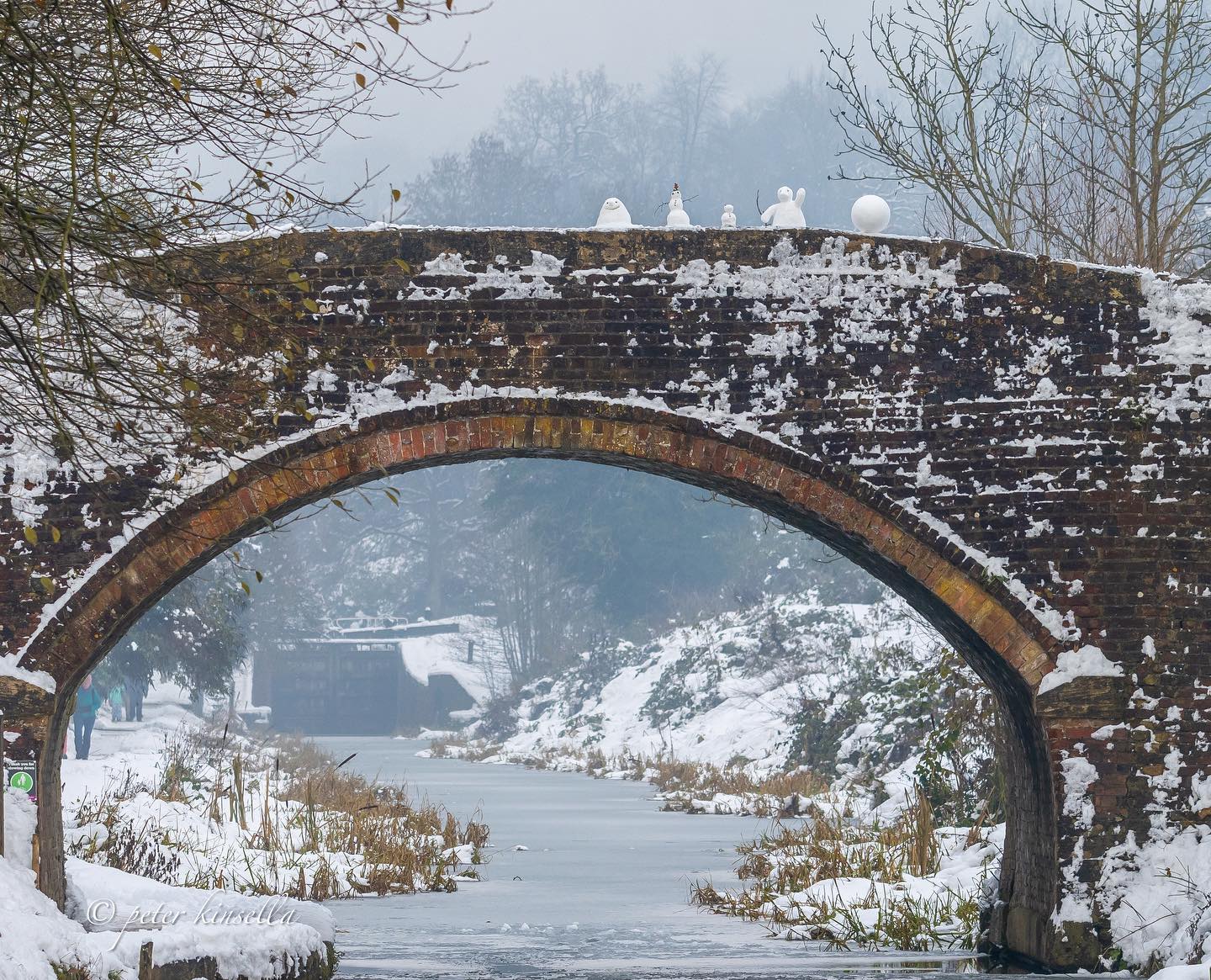 In pictures: Rockin' Robin and Frosty the Snowman | Stroud Times